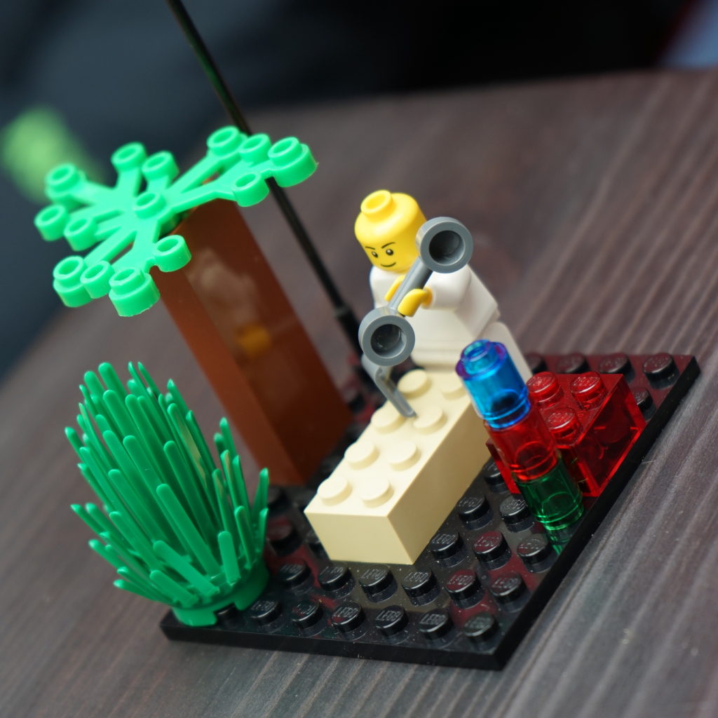 LEGO Serious play – Stratégie en temps réel – XXL Stratégie & organisation